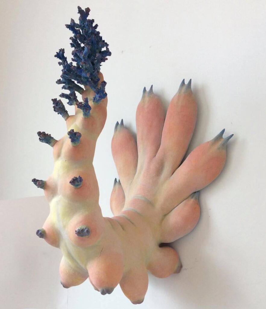 Judy Fox ~ Nicole's MuseuM