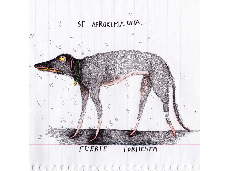 Kevin Simón ~ Nicole's MuseuM